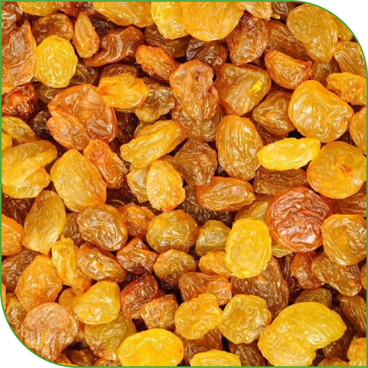 alamal | Raisins